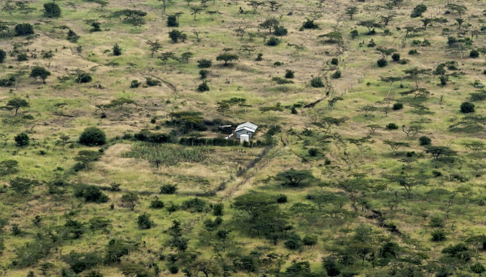 tropical dry forest examples